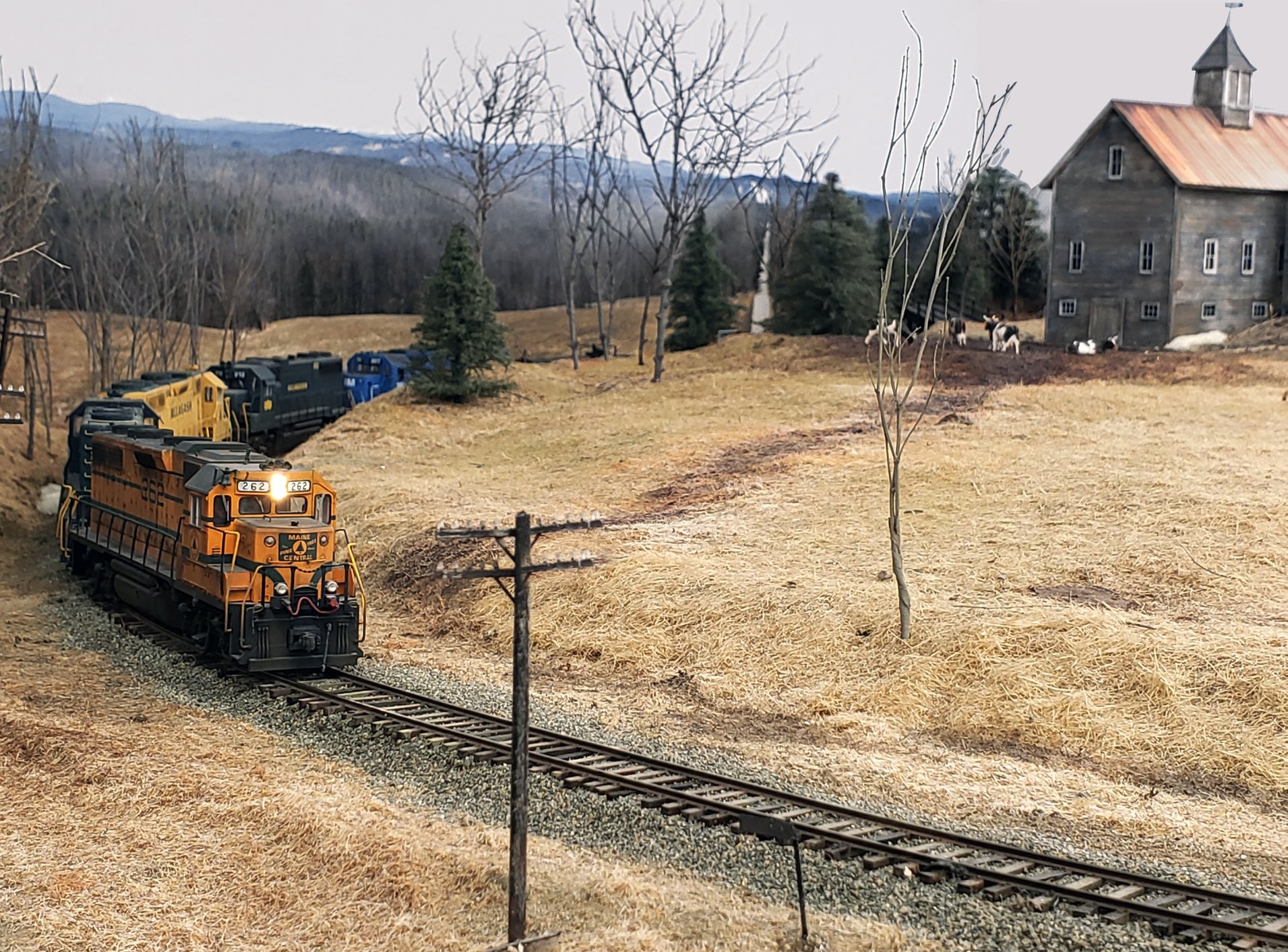 Allagash Railway - Rhubarb Loop